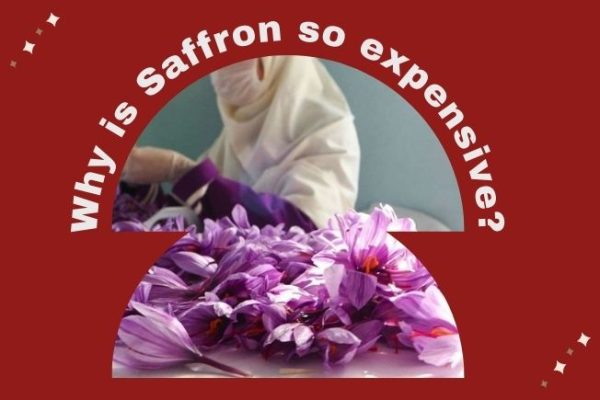 Why is Saffron so expensive? - Saffron Australia